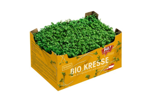 Bio Kresse KL. 2 100g | ECO